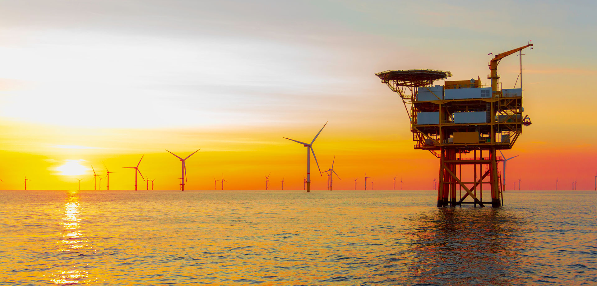 About Us - MCS Group